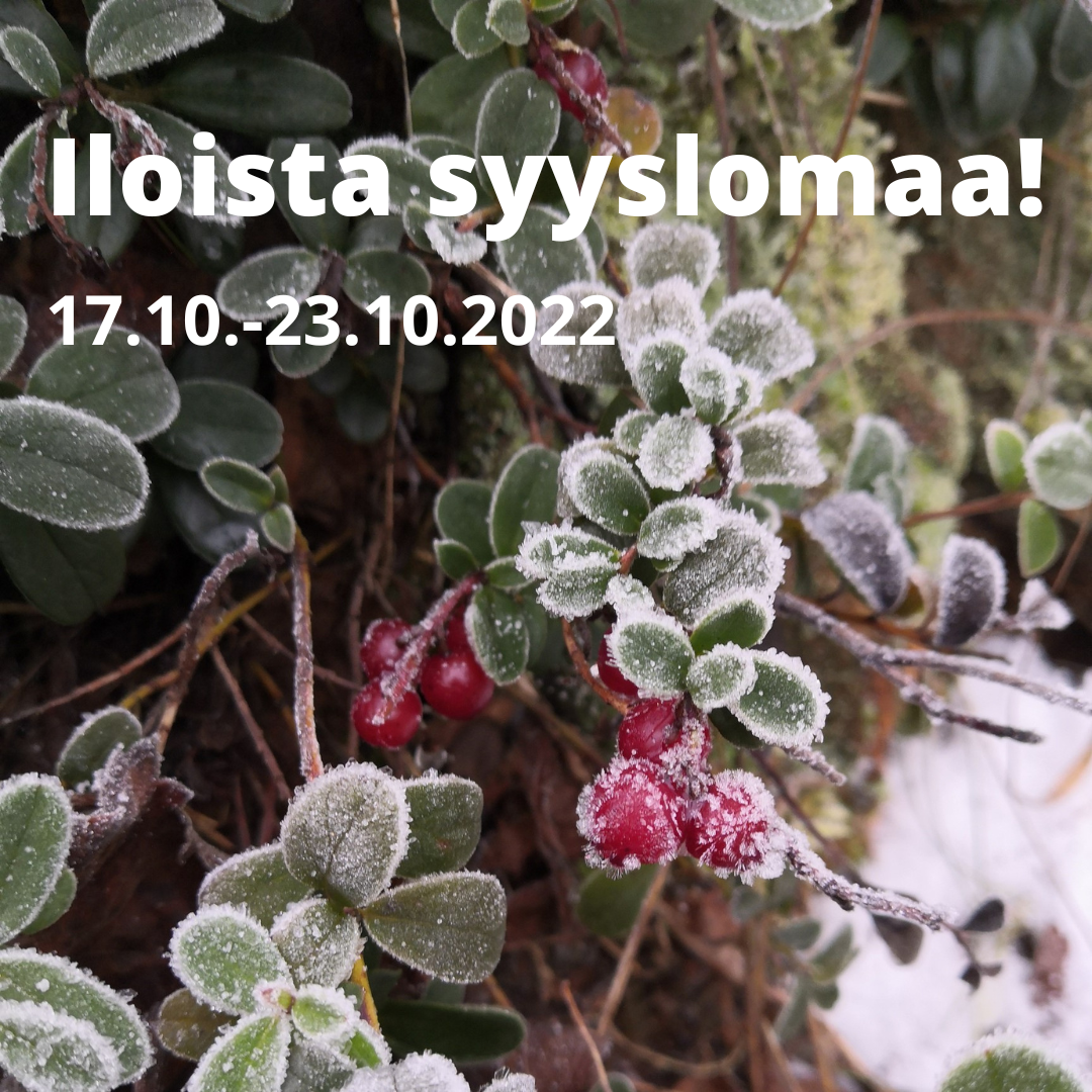 Syysloma vko 42 - Vihdinkuvataidekoulu